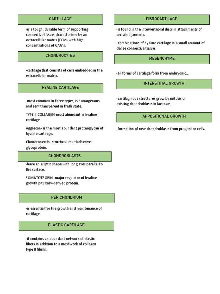 Cartilage Types and Histology Overview | PDF