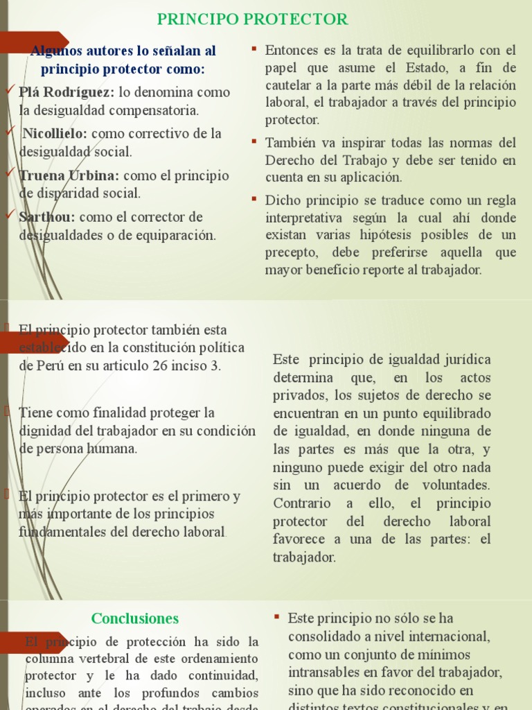 Principo Protector | PDF | Derecho laboral | Desigualdad social