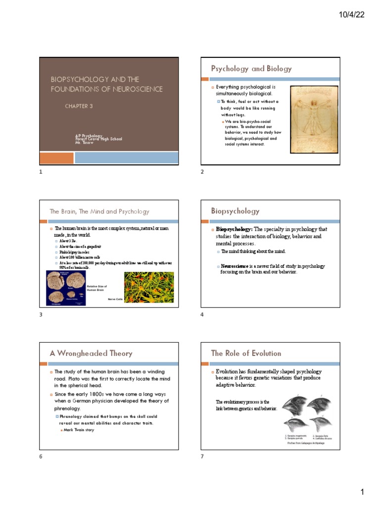 Notes Biopsychology Part A | PDF | Neuron | Neurotransmitter