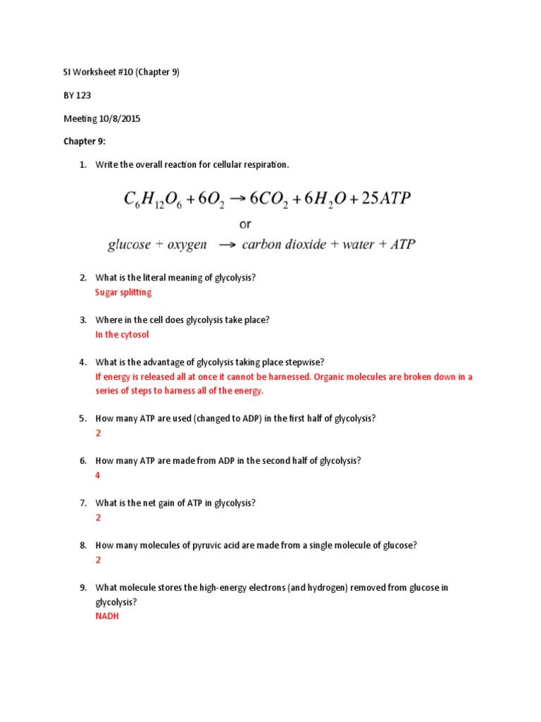 Answer Key Si Worksheet 10 | PDF | Glycolysis | Cellular Respiration