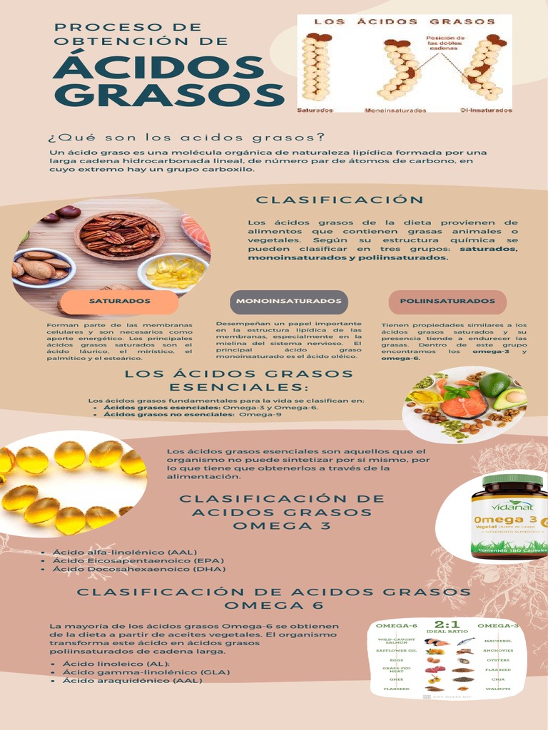 Infografia Acidos Grasos | Descargar gratis PDF | Ácido graso | gordo
