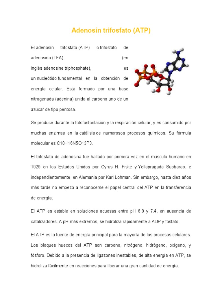 Adenosín Trifosfato | PDF | Trifosfato de adenosina | Química
