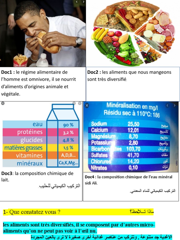 Les Aliments | PDF