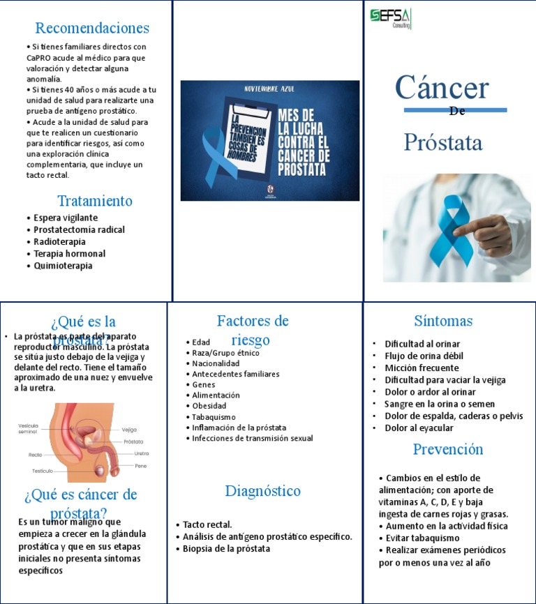 Triptico Cáncer de Próstata | Descargar gratis PDF | Cancer de prostata ...