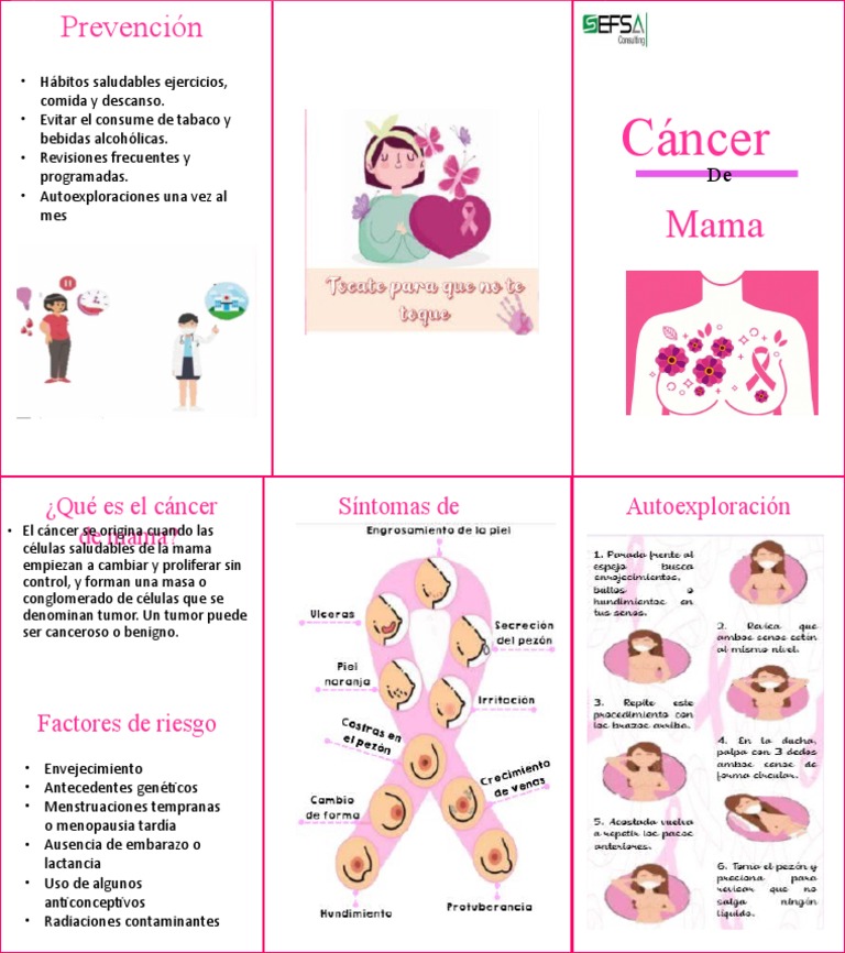 Triptico Cáncer de Mama | PDF