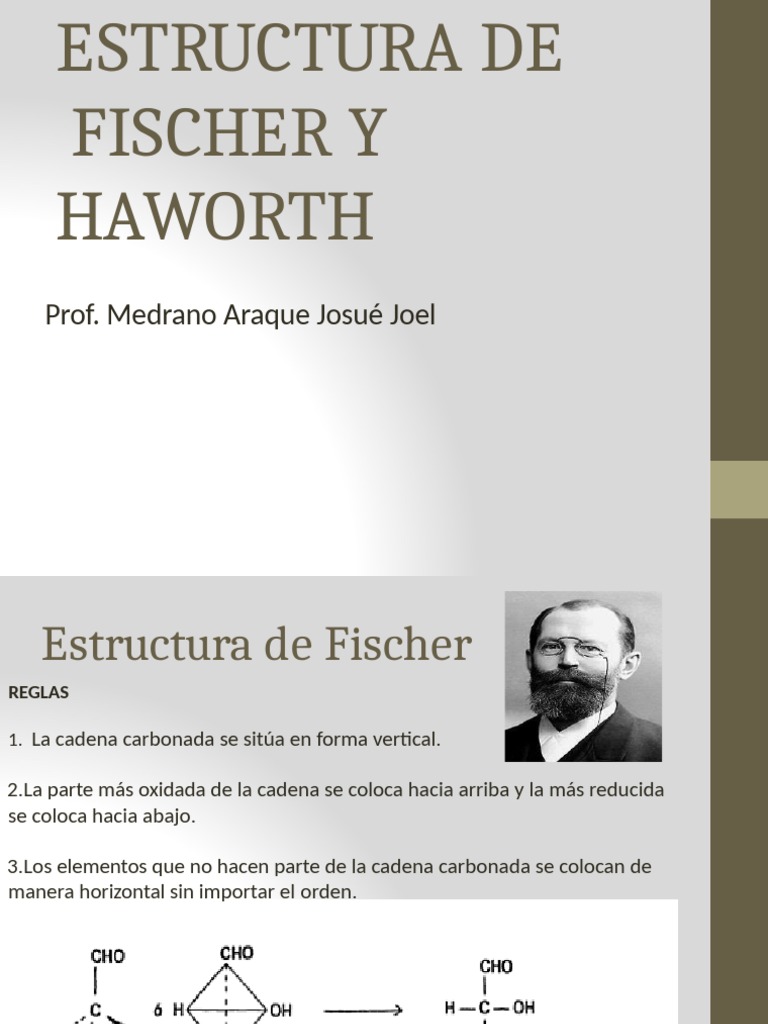 Estructuras de Fischer y Haworth | PDF | Sacarosa | Glucógeno