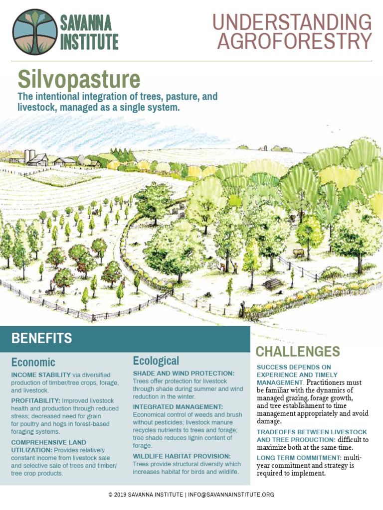 Silvopasture Integration Guide | PDF | Agriculture | Food Industry