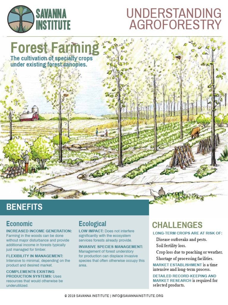 Forest Farming: Benefits and Practices | PDF | Forests | Agriculture