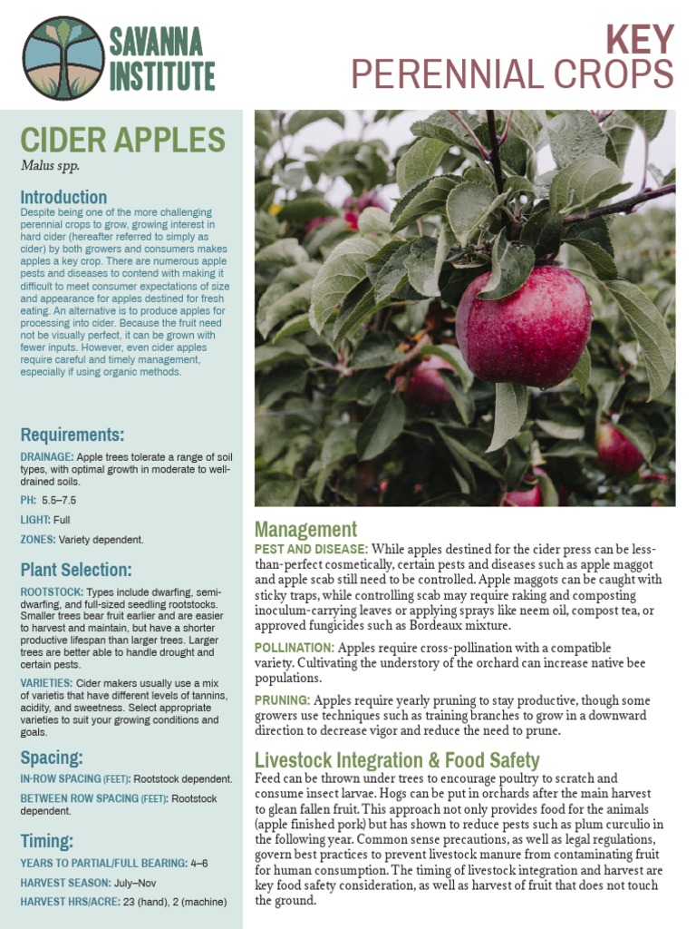 SI Key Crop Info Sheets | PDF