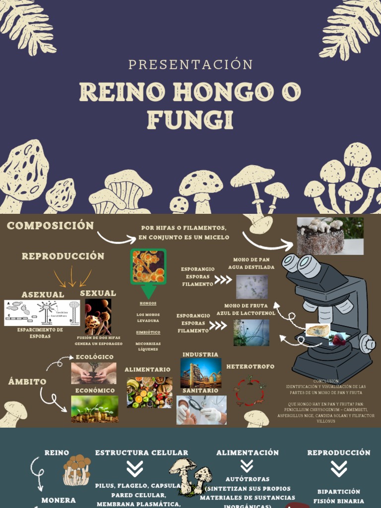 REINO FUNGI | PDF | Hongo | Molde