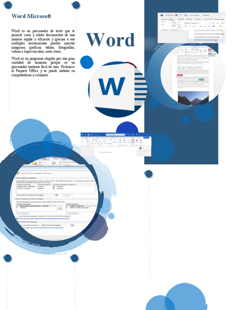Triptico Word | PDF