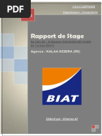 Rapport de Stage STB | PDF | Banques | Tunisie