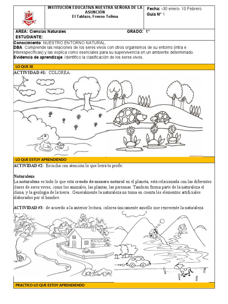Actividades de Naturaleza para Niños | PDF