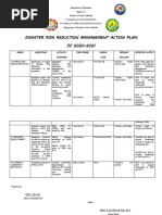 DRRM Action Plan 2018-2019 | PDF | Hazards | Safety