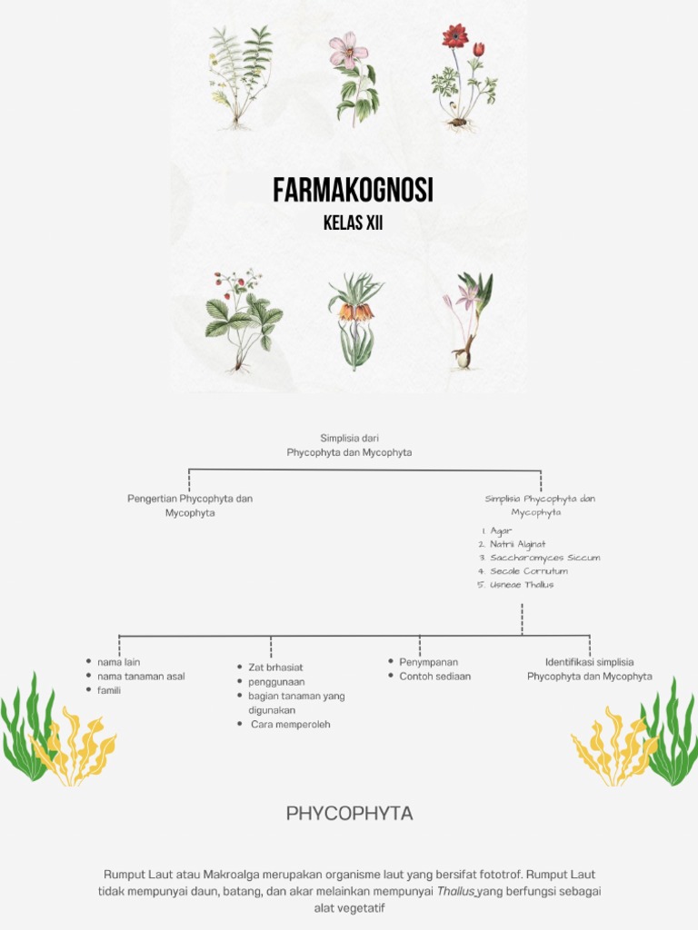 Farmakognosi - 1 | PDF