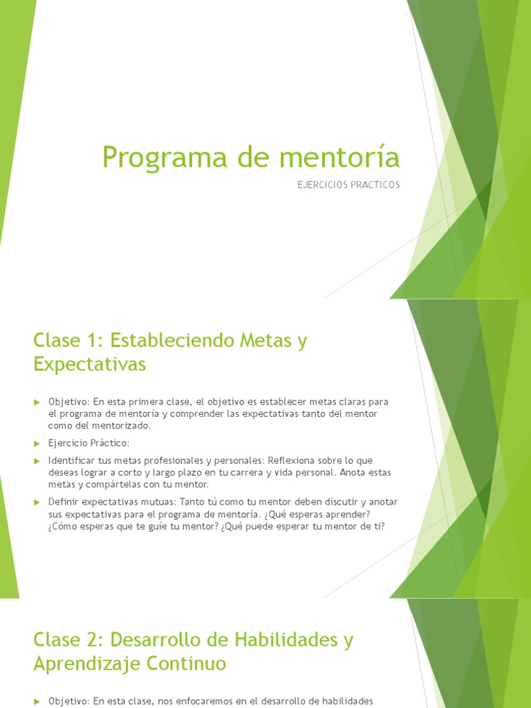 05 Programa de Mentoria - Ejercicios | PDF