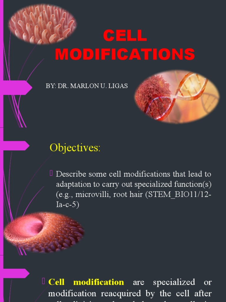 Cell Modifications | PDF