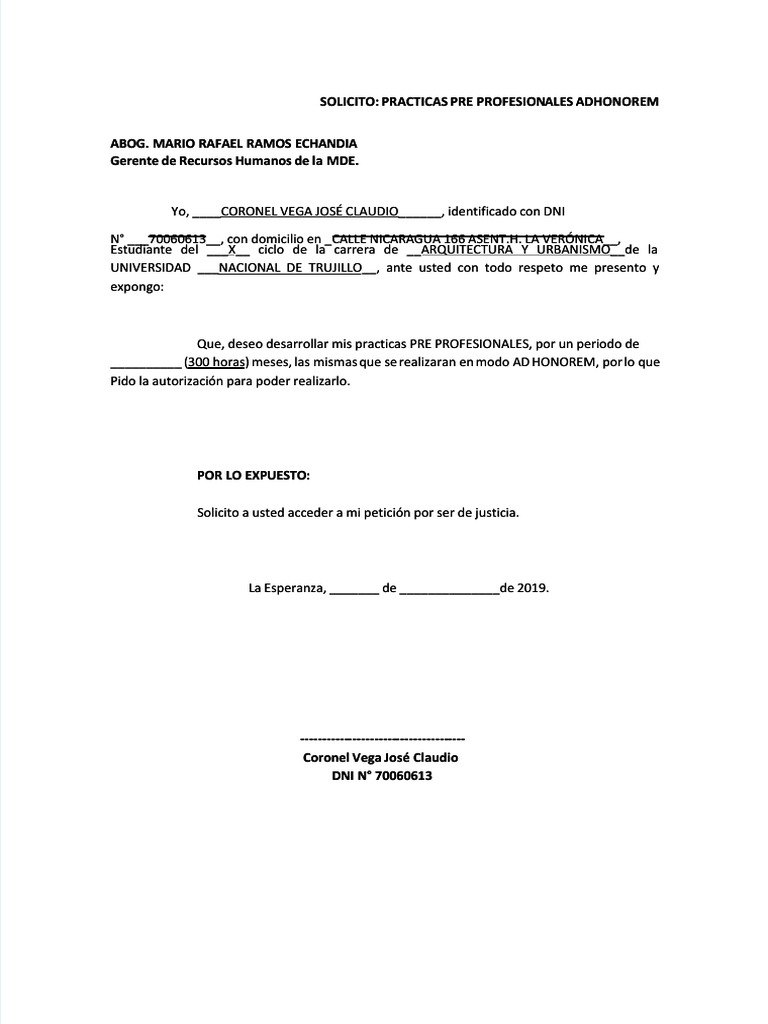 PDF Solicitud Adhonorem Castillo Valdez - Compress | PDF