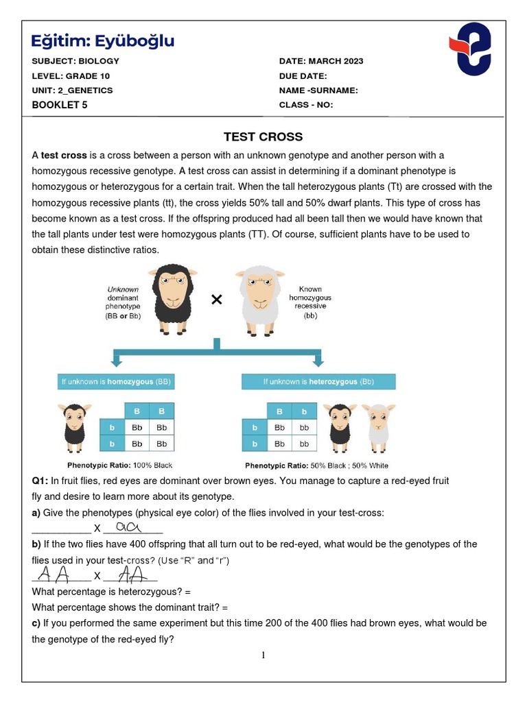 Grade 10 - Unit 2 - Booklet - Genetics - 2 - Son | PDF | Dominance (Genetics) | Allele