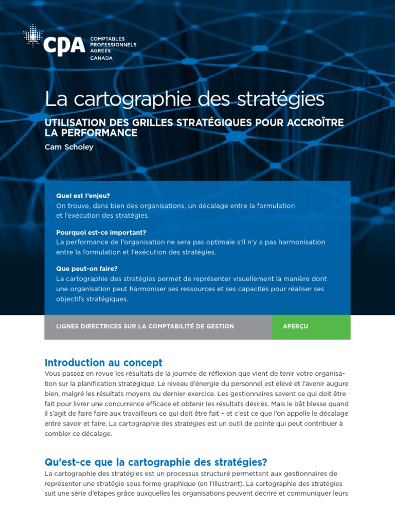 Cartographie des Stratégies en Gestion | PDF | Business | Application