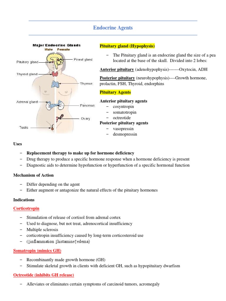 Endocrine Agents | PDF | Hypothyroidism | Adrenal Gland