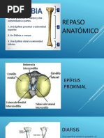 Fractur de Diafisis de La Tibia | PDF | Ct Scan | Hueso