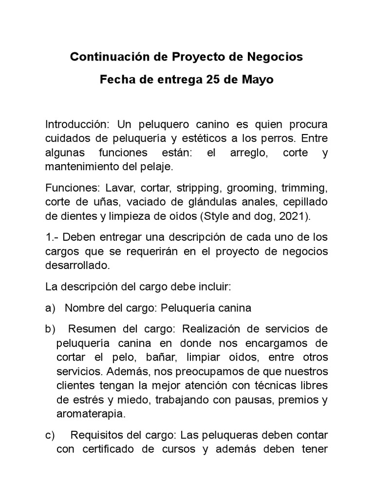 Continuación de Proyecto de Negocios | PDF