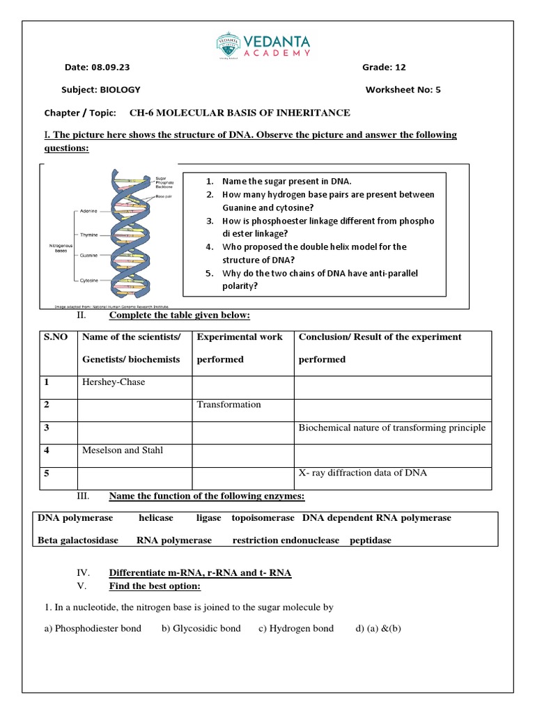 Grade-12a - Biology - Worksheet-5 (08.09.23) | PDF | Dna | Gene
