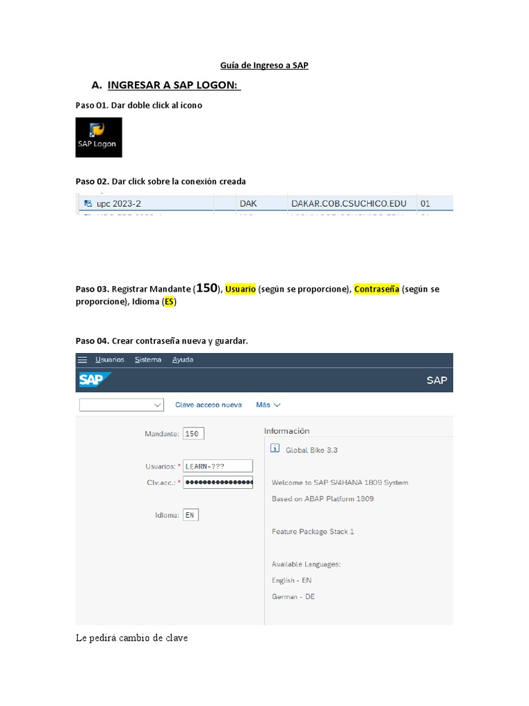 Guía Rápida para Ingresar a SAP | PDF
