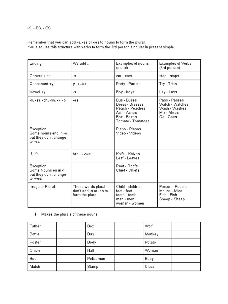 S - IES - ES Blank | PDF | Plural | Grammatical Number