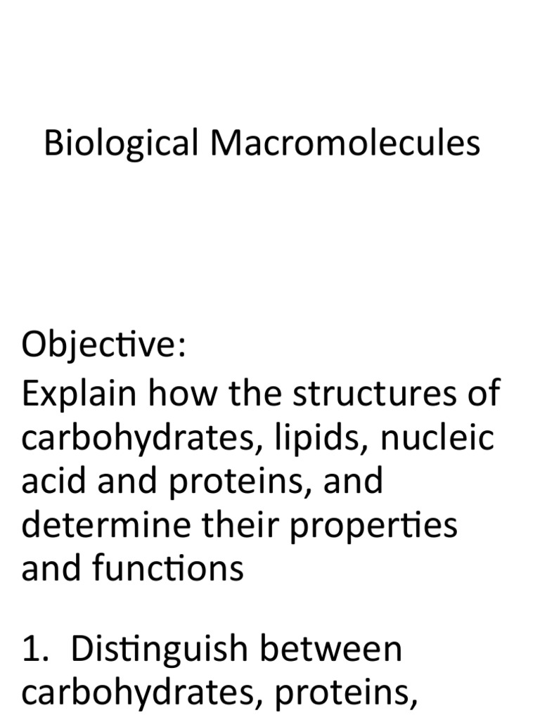 in Biological Macromolecules LECTURE | PDF | Carbohydrates | Nucleic Acids