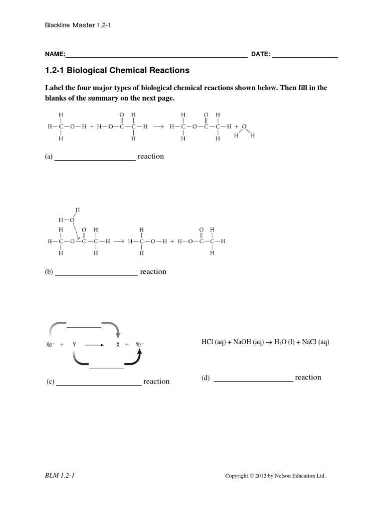 1c Types of Rxns BLM | PDF