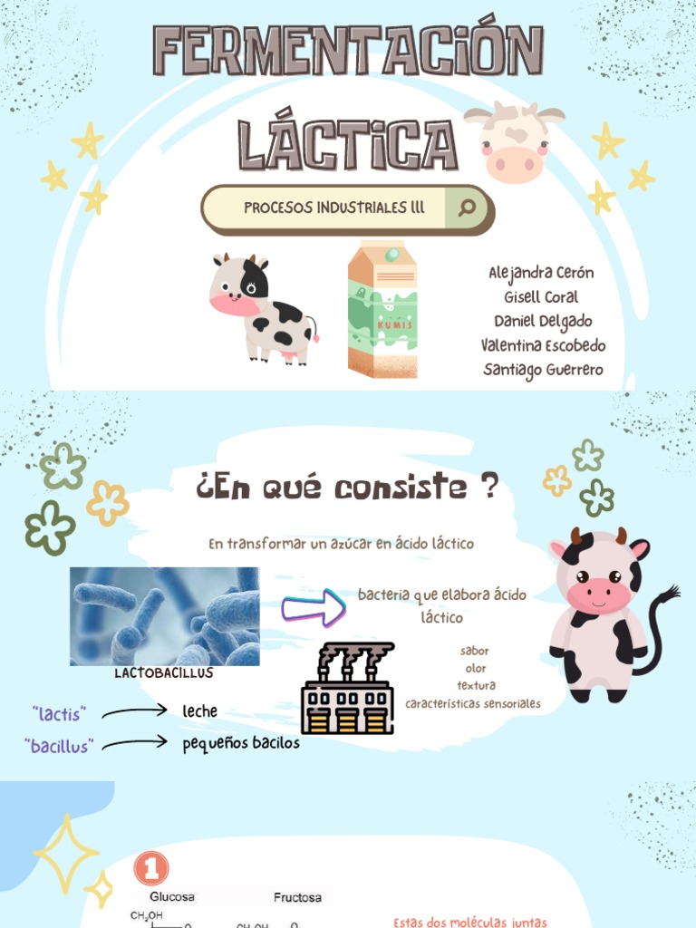 Fermentación Láctica | PDF