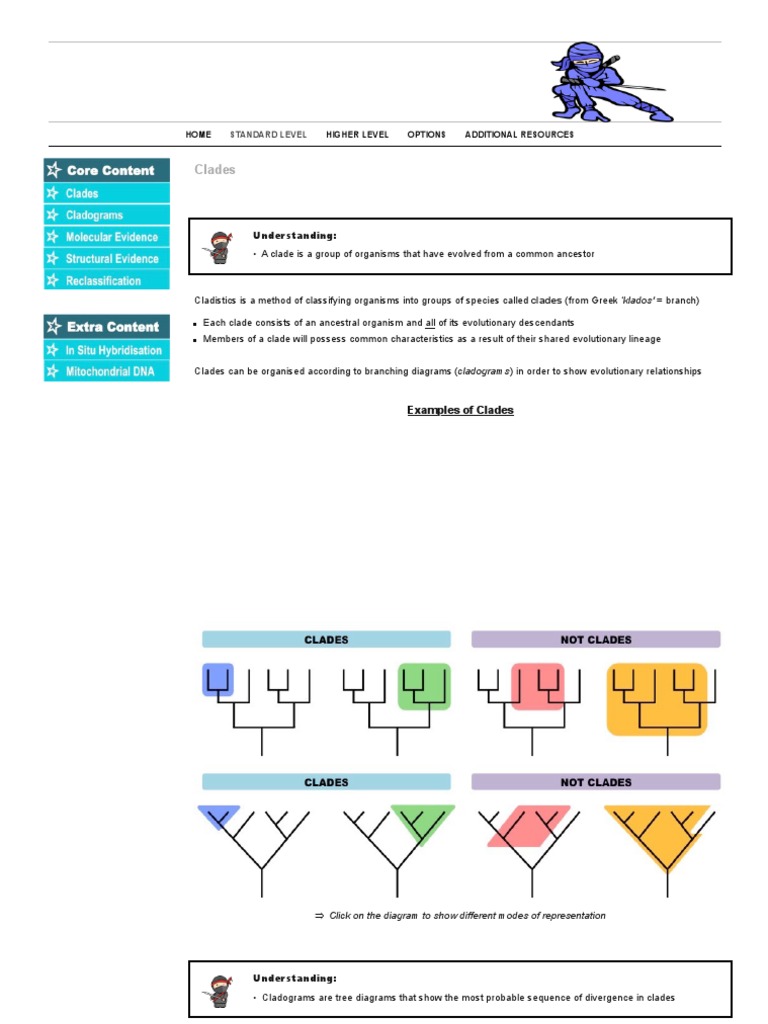 Understanding Clades and Cladograms | PDF | Philosophy