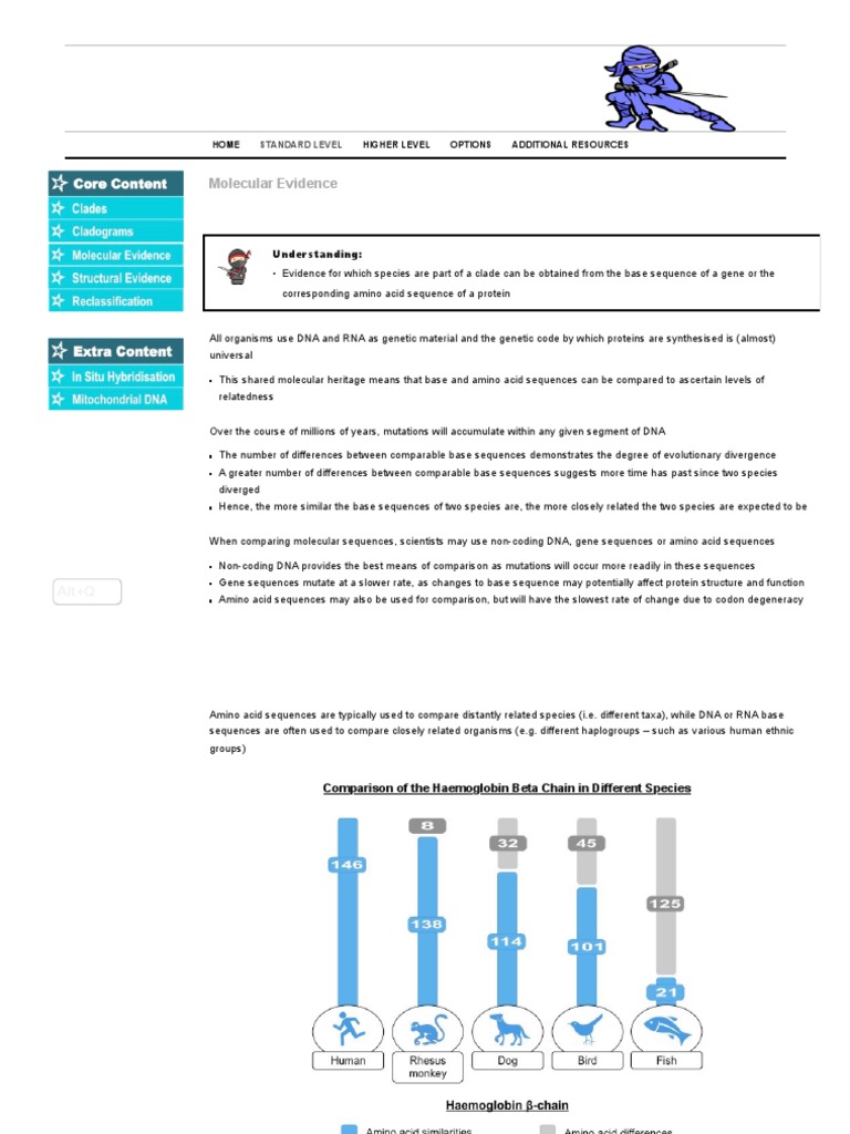 3 Molecular Evidence - BioNinja | PDF | Gene | Mutation