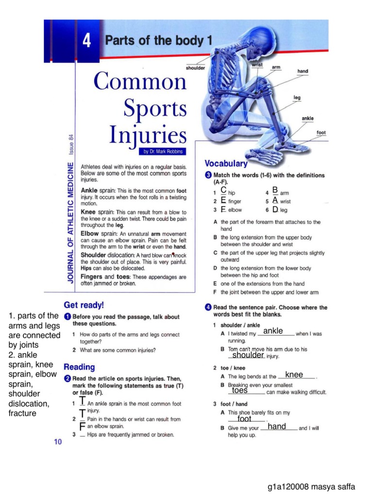 4 - Parts of The Body 1 Common Sports Injuries | PDF