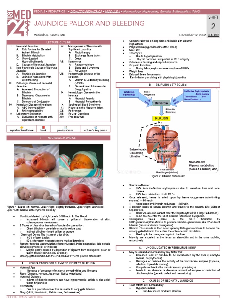 Ped.s2.nng.12.jaundice Pallor and Bleeding | PDF | Medical Specialties | Causes Of Death