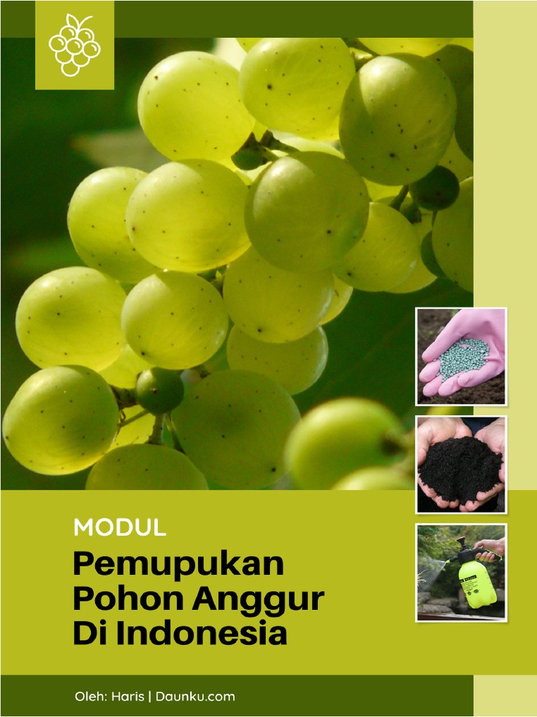 Panduan Pemupukan Tanaman Anggur | PDF