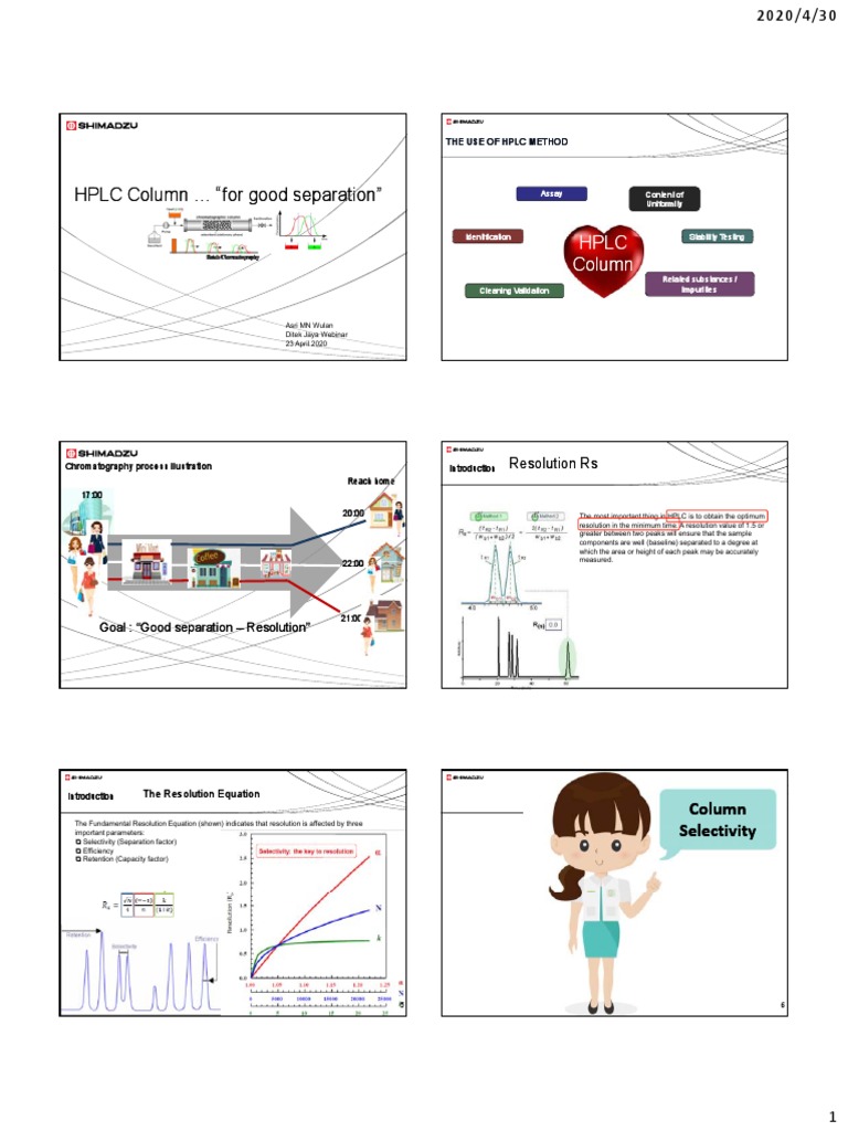 HPLC Column | PDF | High Performance Liquid Chromatography | Chromatography
