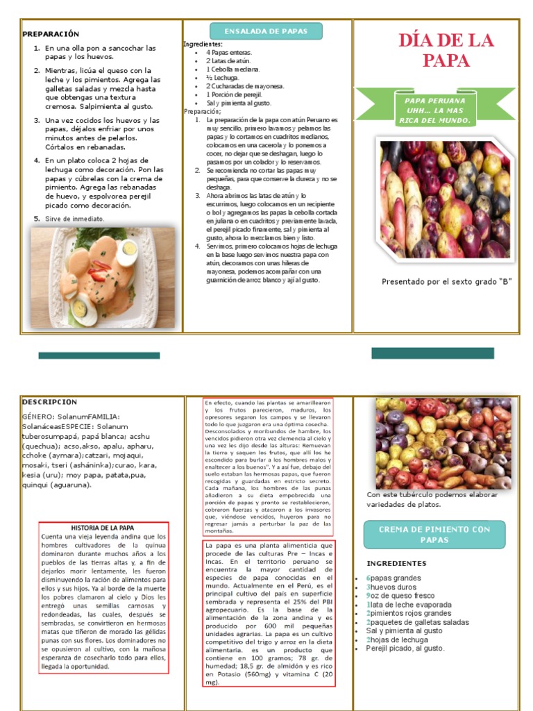 Triptico Papa | PDF | Patata | Alimentos