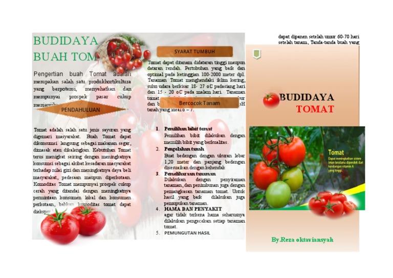 Leaflet Tomat | PDF