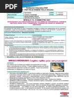 Anatomia Mosca Completa Con Imagenes | PDF