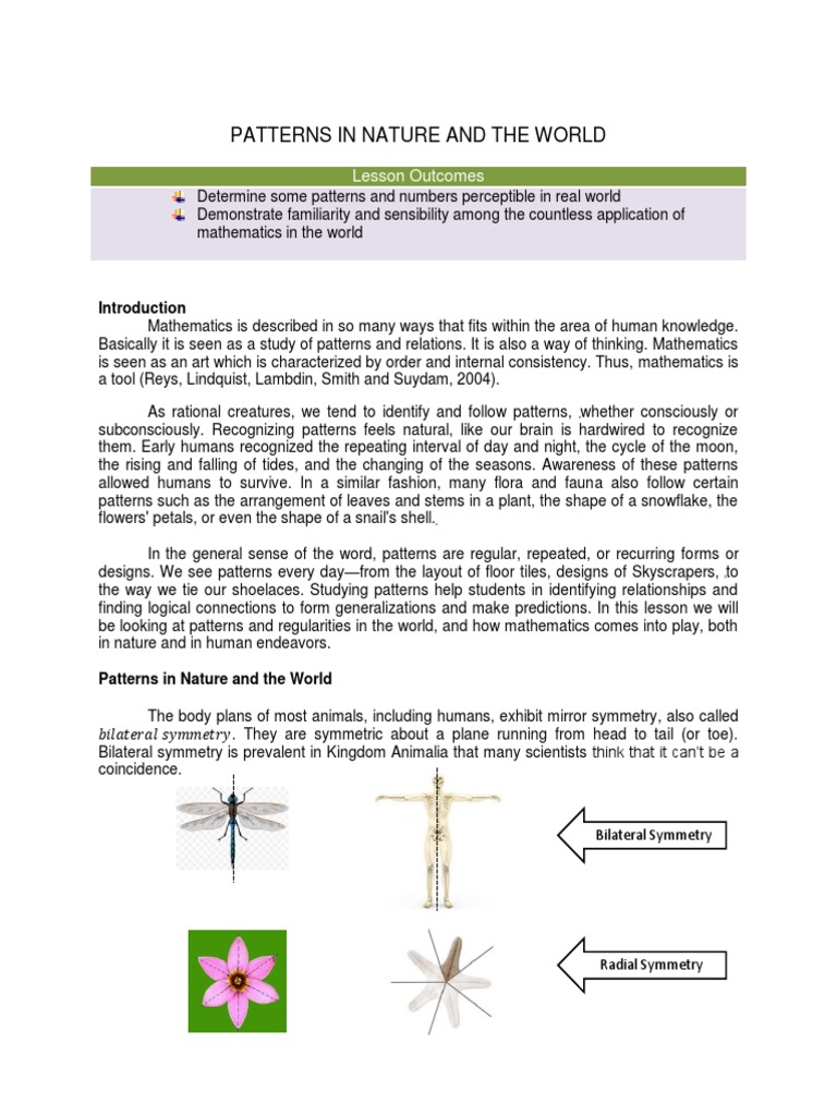 1 Patterns in Nature and The World | PDF | Pattern | Symmetry