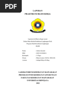 Laporan Akhir Praktikum Kebisingan | PDF