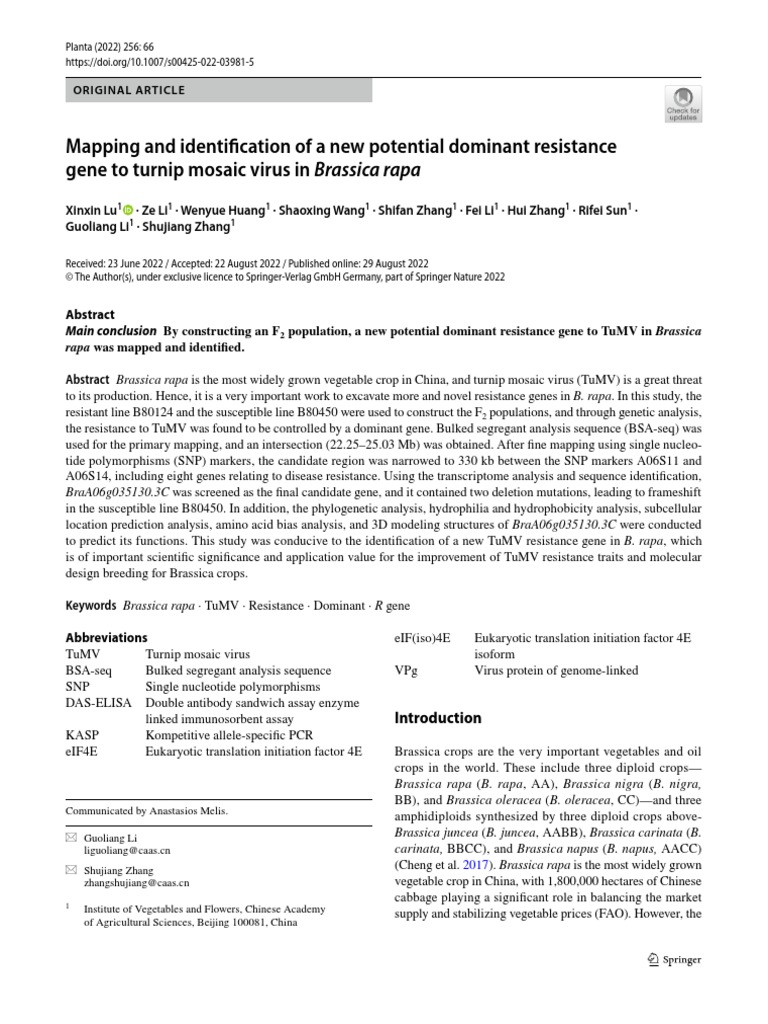배추-TuMV - 2022 - Mapping and Identification of a New Potential Dominant ...