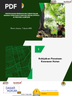 Peta PIPPIB 2023 Periode II Indonesia | PDF