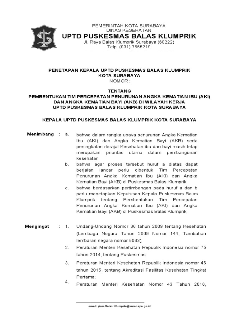 SK Pembentukan Tim Penurunan Aki-Akb | PDF