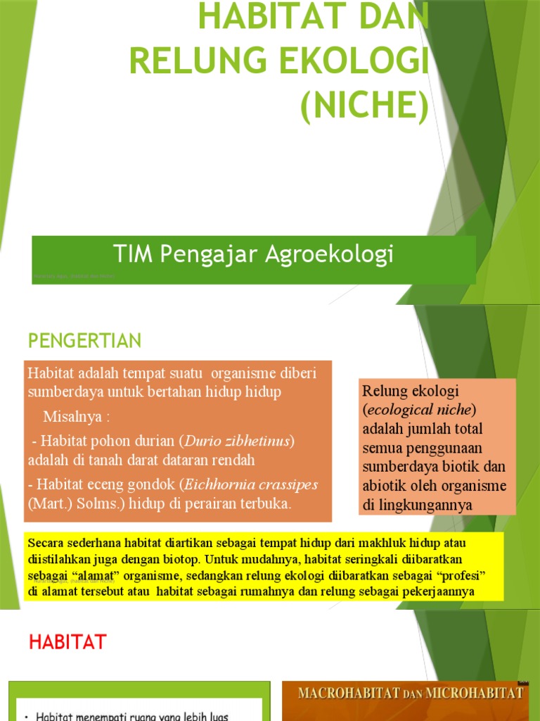 Habitat Dan Relung Ekologi Naa | PDF