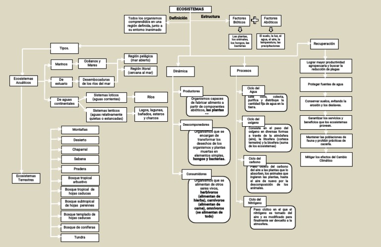 Mapa Conceptual Del Ecosistema | PDF | Ecosistema | Mar