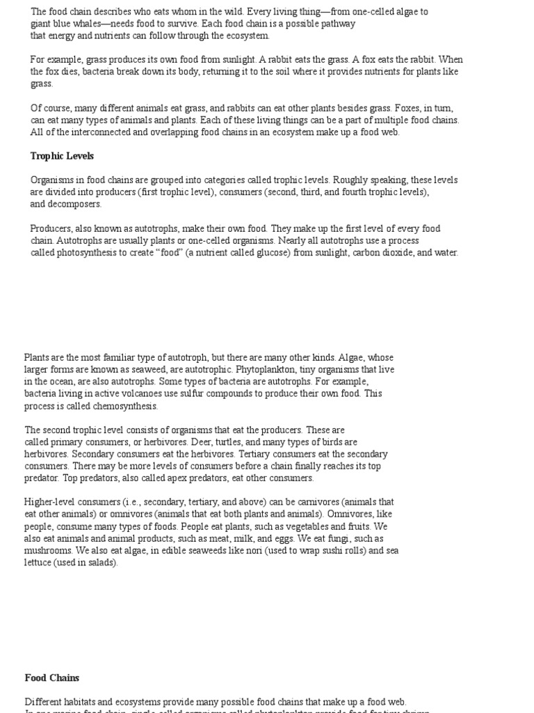 Food Chain and Food Web | PDF | Food Web | Herbivore